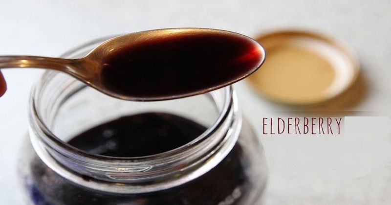 Forget the Flu Shot: Elderberry Extract is Natures "Tamiflu" - DIY ...